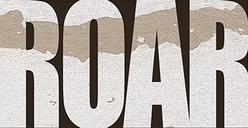 Let’s talk about ROAR – Deep Sky Anchor