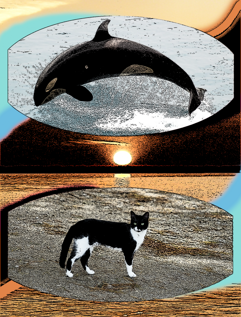 Heart of an Orca, Grace of a Cat – Deep Sky Anchor